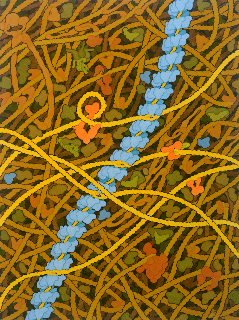 RecA and DNA – Murals Physics